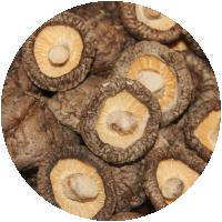 China Premium Dried Shiitake Mushroom Stem with 24 Months Shelf Life, 1kg/bag and AD Drying Process for sale