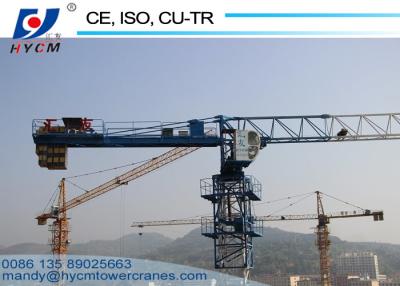 China Lifting 22ton Buliding Materials 80 Jib Length Topless Tower Crane for Building Construction Site for sale