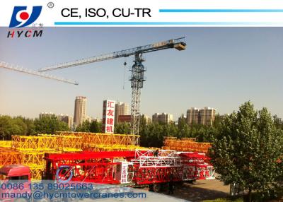 China 22ton Construction Machinery Supply 80m Jib Length Topless Tower Crane Price for sale