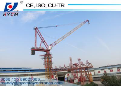 China D80 Jib Luffing Tower Crane with 40m Boom 1.5t End Load and 6t Max. Load for sale
