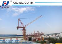 China 1250KN.m Rated Lifting Moment 50m Tower Crane Boom Length Fixed Jib Crane D5020 Luffing Boom Crane for sale
