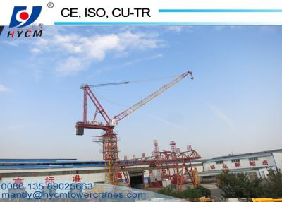 China 1250KN.m Rated Lifting Moment 50m Tower Crane Boom Length Fixed Jib Crane D5020 Luffing Boom Crane for sale