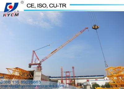 China Luffing Jib Tower crane D260-6029--12Ton Construction Crane Made in China for sale