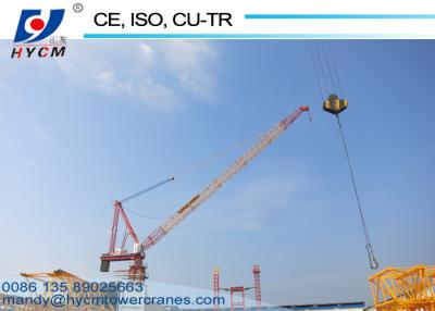 China 60m Jib 2.9ton Tip Load Construction Industry Hydraulic 12ton Luffing Jib Tower Crane for sale