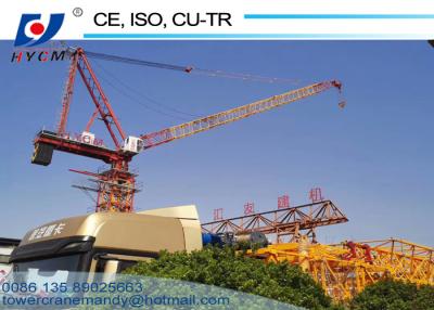 China 10ton 50m Tower Crane Boom Length 380V/60Hz Schneider D5020 Luffing Jib Crane for sale