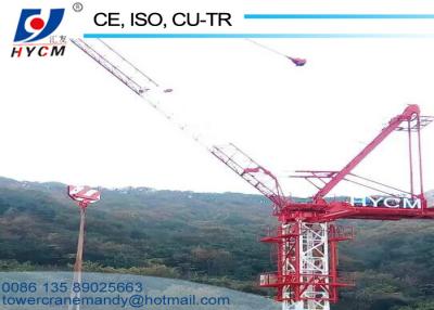 China D5020 50Meters Jib Luffing Tower Crane 10tons Max. Load 2*2*3m Mast Section Size for sale