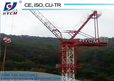 China 10t Building Luffing Tower Crane D5020 Model 50m Long Jib 2.0t End Load 2*2*3m Mast for sale
