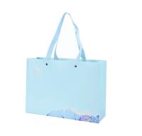 China Clothing Apparel Printed Reusable Shopping Bags , Modern Designer Paper Bags for sale