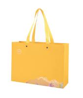 China Clothing Apparel Printed Reusable Shopping Bags , Modern Designer Paper Bags for sale