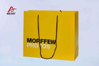 China 157 Gsm Art Paper Bags 2 Color Printing For Clothing Store Packaging for sale
