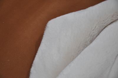 China 725gsm Fur Brush Pattern Rabbit Hair Coating Woven Fabric Solid Suede for sale