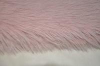 China 150cm CW Or Adjustable 100% Polyester 520gsm Tuscany Fabric for sale