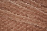 China Faux Rabbit Fur Fabric 100% Polyester 150cm CW Or Adjustable for sale