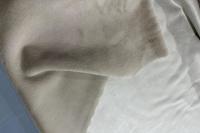 China Brush Pattern Rabbit Hair Coating Woven Bonded Fleece Fabric Solid Suede 800gsm for sale