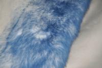 China 150cm Jacquard  blue-white gradient Enrich your decorations and home style for sale