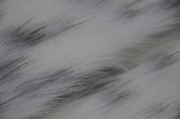 China black spot on a white background Long Hair Fur Fabric，Long plush fabric: The perfect blend of comfort and fashion for sale