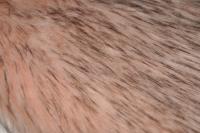 China Pink Long plush fabric:，100% AC or with mAC Make your space instantly warm and inviting for sale