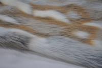 China Jacquard Arctic Fox Faux Fur Fabric ，Make your home an ideal place to relax for sale