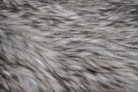 China Patterned Artificial Long Hair Fur Fabric Jacquard Faux Fox By The Yard for sale