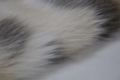 China Mixed Jacquard Faux Fox Fur Fabric , 150cm Long Hair Fake Fur，Create unique home decor and curtain designs for sale