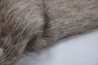 China Brown  Long Hair Fur Fabric 150cm Fox Faux，Quality guaranteed, bring you the ultimate luxury experience for sale