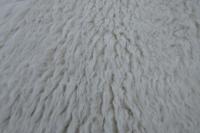 China Mongolian Fur Fabric Elevate Your Fashion Statement with a Touch of Opulence for sale