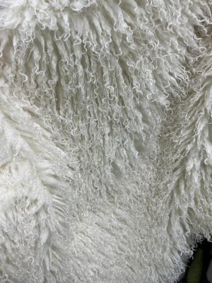 China White Persian Wool Curly And Unique High End Clothing Selection for sale
