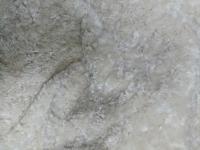 China Premium 100% Polyester Warp Knitted Fabric For Garments for sale