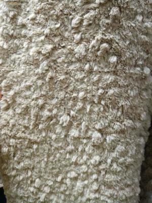China Camel Cut Flower Warp Knitted Fabric 610gsm for sale