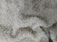 China Curled Warp Knitted Soft Plush 380gsm 100% P for sale