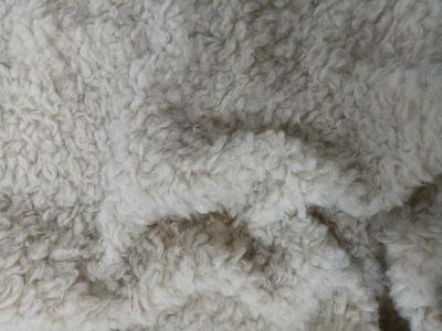 China Curled Warp Knitted Soft Plush 380gsm 100% P for sale