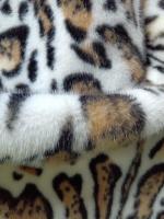 China 680GSM Leopard Print Polyester Fabric For Unique Fashion 100% Polyester Fabric for sale