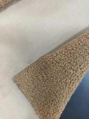 China 760gsm Knitted Teddy curly plush fabric composite suede with the same color for sale