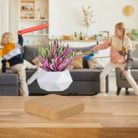 China Rotating Base Magnetic Levitation Plant Pot For Home Garden Desk Decoration for sale