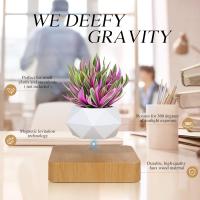 China Rotating Base Magnetic Levitation Plant Pot For Home Garden Desk Decoration for sale