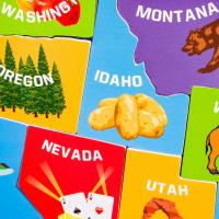 China Multicolor Magnetic Puzzle Map Of The United States With 44 Magnetic Pieces for sale