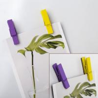 China 30Pcs Multicolored Personalized Magnetic Clips For Whiteboard Teaching Office Fridge for sale