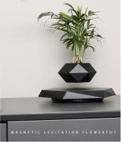 China Black Hexagon Magnetic Levitation Plant Levitating Air Bonsai Pot 360 Degree Rotation for sale