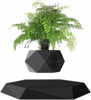 China Black Hexagon Magnetic Levitation Plant Levitating Air Bonsai Pot 360 Degree Rotation for sale