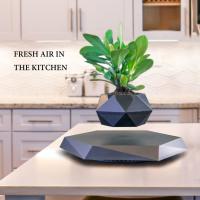 China Customized Levitating Flower Pot Magnetic Floating Planter For Home Living Room for sale