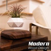 China OEM/ODM Floating Levitating Plant Pot Holder For Air Plants Room Decor Tech Toys for sale