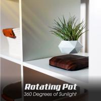 China OEM/ODM Floating Levitating Plant Pot Holder For Air Plants Room Decor Tech Toys for sale