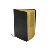 China Blank Custom Leather Notebook Extra Thick Offset Paper A6 Notepad Folio With Gold Edges for sale