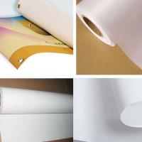 China Vinyl Digital Inkjet Media Photo Papers PVC Printing 24