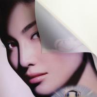 China 24 Inch Inkjet Printable Vinyl Durable Glossy Inkjet Vinyl Media Roll for sale