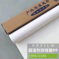 China Self Adhesive Pp Sticker Glossy Inkjet Photo Sticker Paper for sale