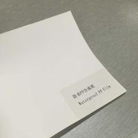 China Pp Synthetic Paper Sticker Self Adhesive PP Paper 7 Mil for sale