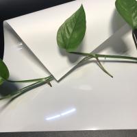 China Screen Print Pet Inkjet Film Media 0.3mm for sale