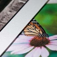China 10 Oz Polyester Inkjet Canvas Rolls Wholesale White Dye Sublimation Banner for sale