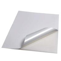 China Repositionable Back Self Adhesive PP Paper Sheet Matt White Polypropylene Film for sale
